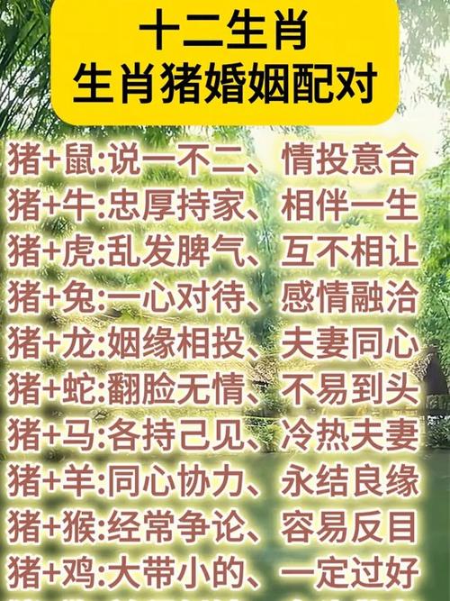 生肖猪最佳配对属相图标