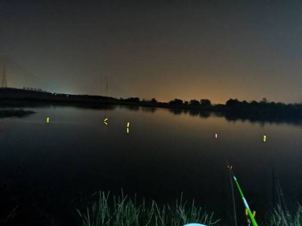 夜间鱼在水边还是在中间
