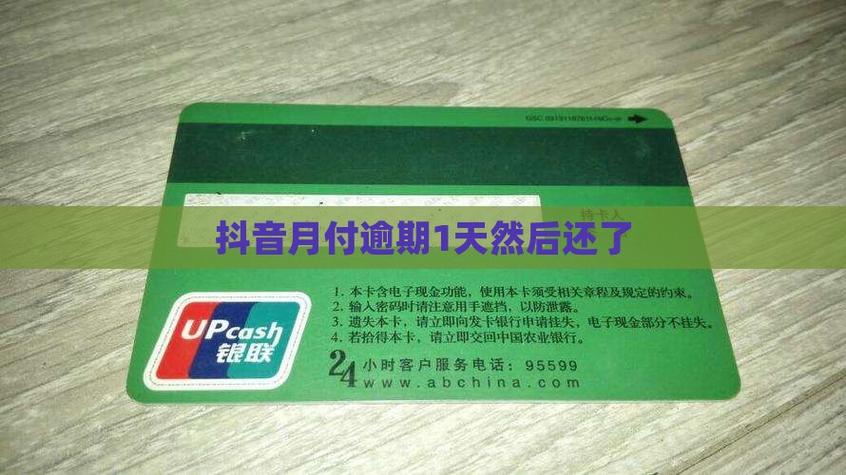 抖音月付逾期了还能用吗图标