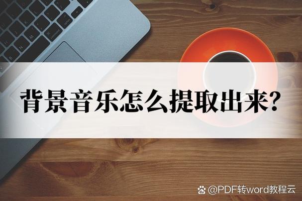 视频bgm提取软件截图