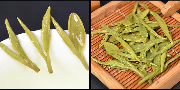 浙江绿茶有几个品种图标
