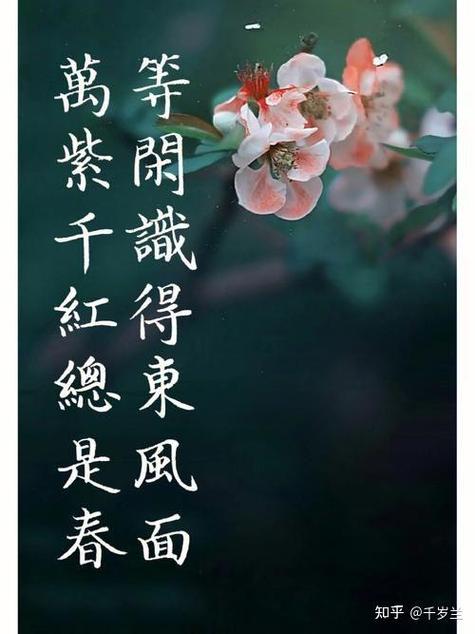 等闲什么什么什么下一句
