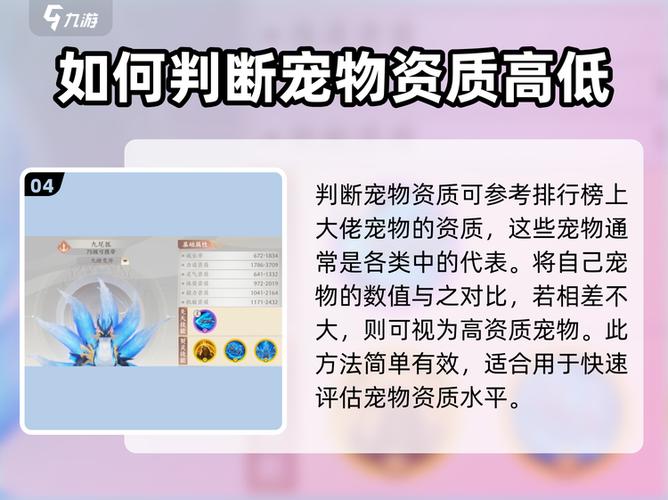 宠物强度排名及资质介绍图标