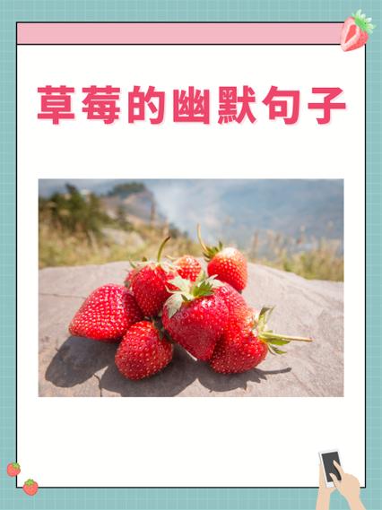 草莓简短美句图标