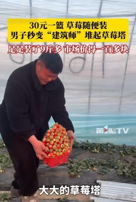 去草莓园摘草莓要钱吗图标