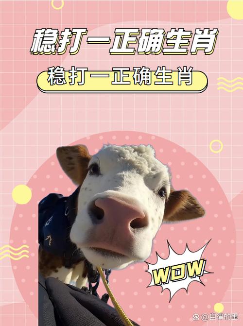 四三代表什么生肖图标