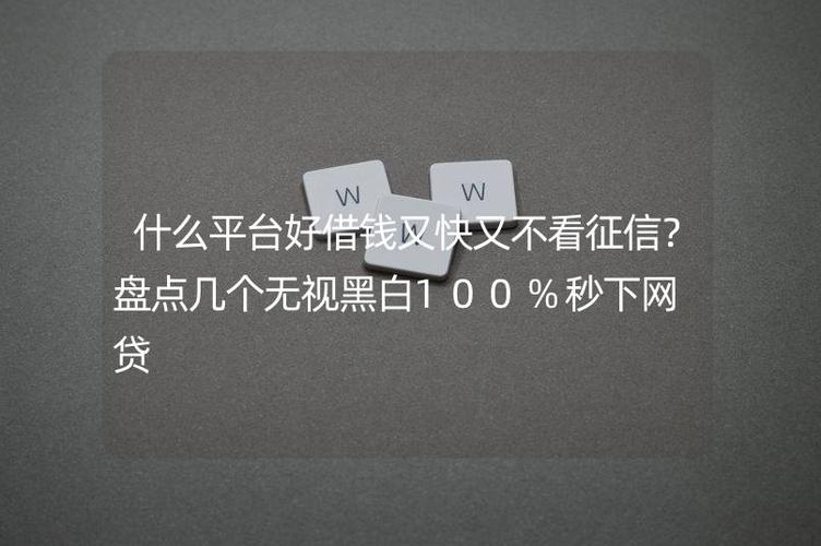 无视黑白的网贷