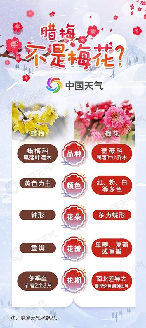 赏与看的区别图标