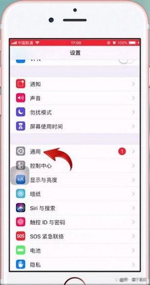 苹果不能手写怎么设置图标