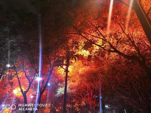 手机拍照夜晚怎样拍得清晰图标