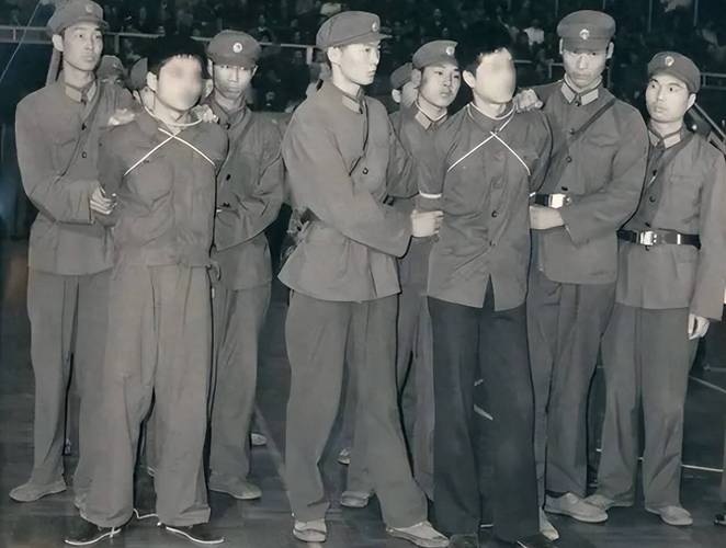 执行战场纪律是枪毙吗图标