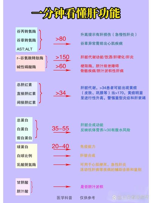 谷丙转氨酶升高代表什么意思图标