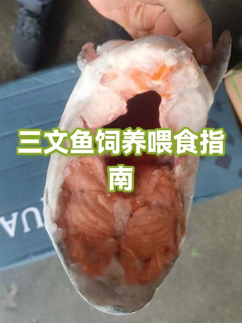 三文鱼冷冻半年了还可以吃吗图标