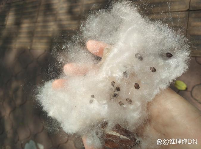 絮状是什么形状图标