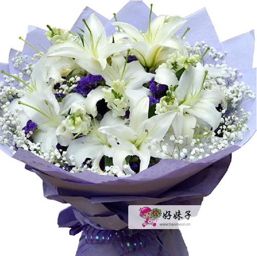 郑州花店网上订花图标