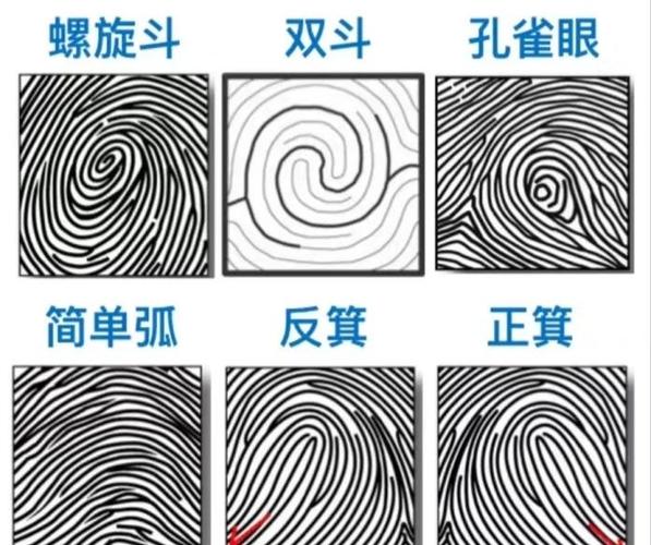 手机指纹有哪些类型图标