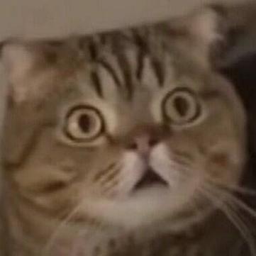 震惊了的高级表达