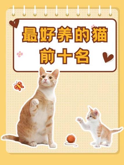 十大新手最好养的猫便宜图标