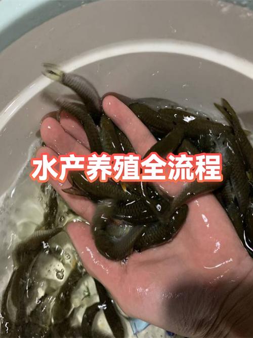 水产养殖供奉什么神截图
