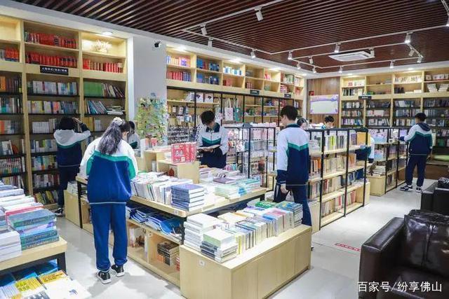 anyview手机阅读器图标