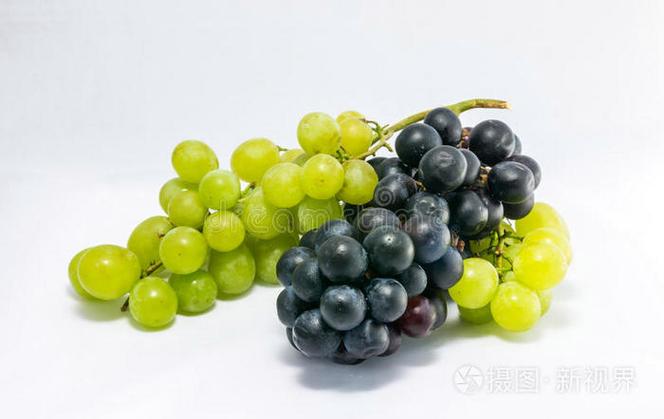 白葡萄和红葡萄的品种图标