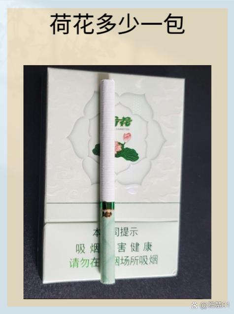 荷花价格表和图片图标