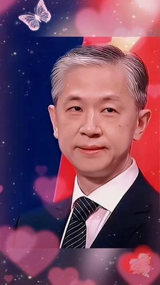 中国最牛外交官视频图标