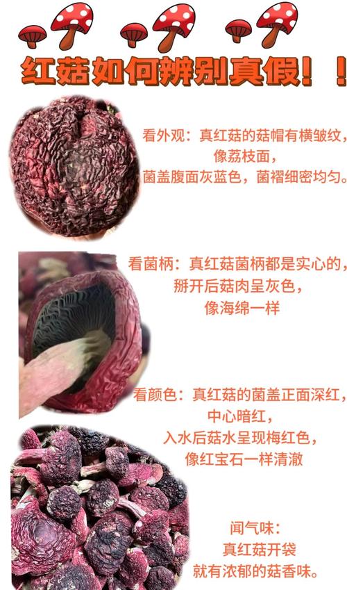 红淘客真的假的
