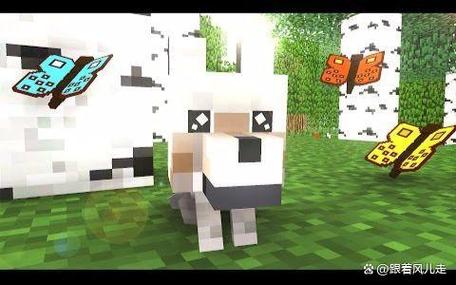 我的世界狼的代码