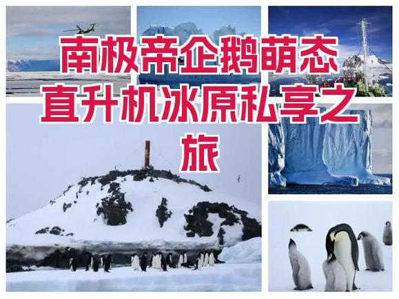 买了冰原为什么进不去图标
