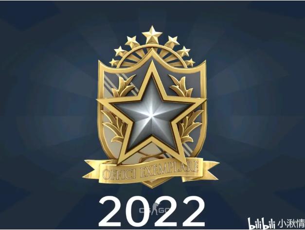csgo实体徽章在哪购买图标