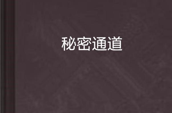 秘密通道图标