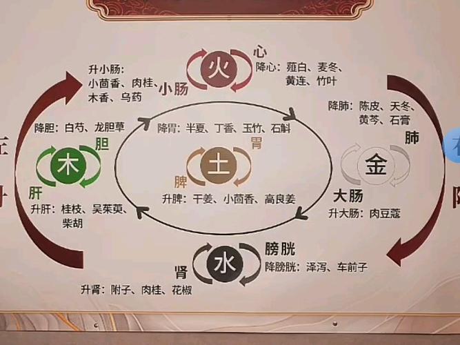 五行手法视频图标