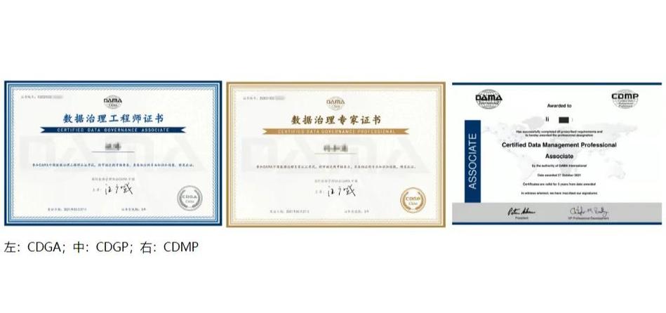 DAMA是什么截图