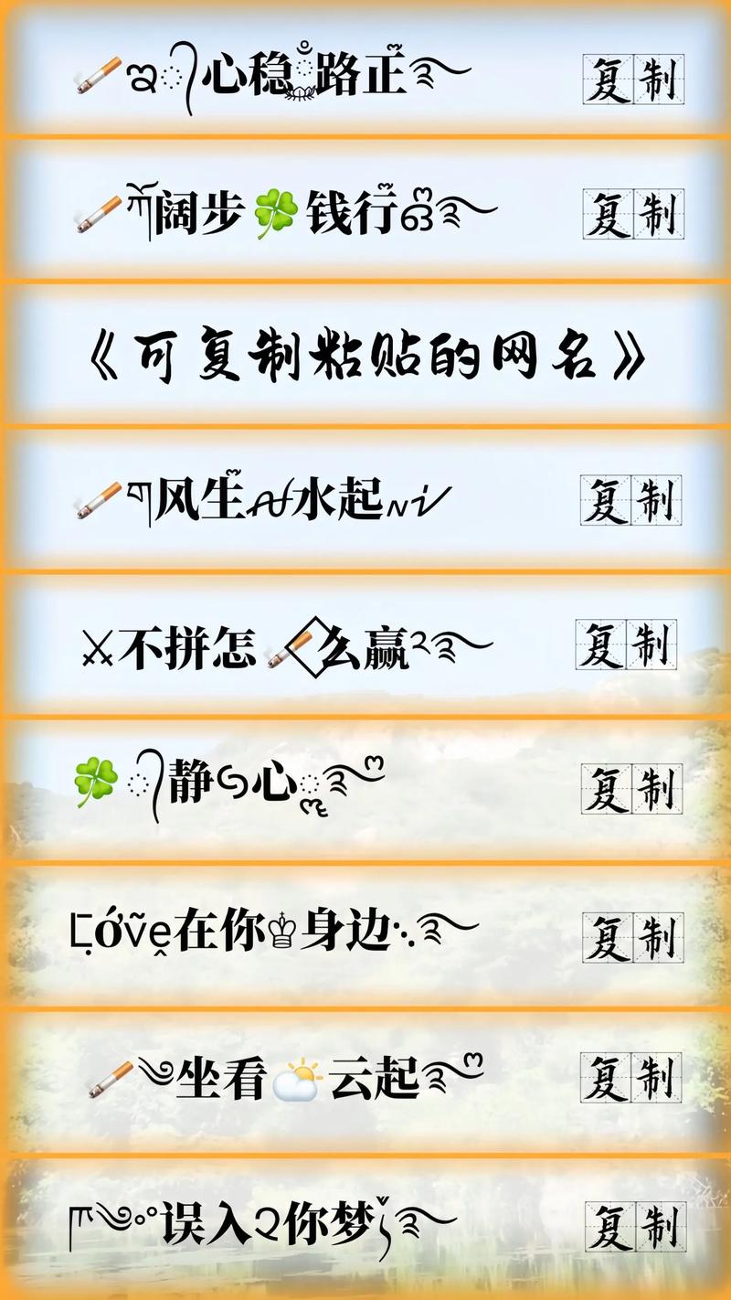 男人用laity做网名的含义图标