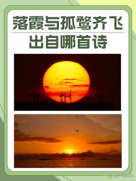 落霞与孤鹜齐飞原文截图