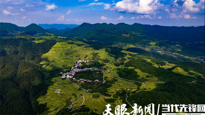天玛生态图标