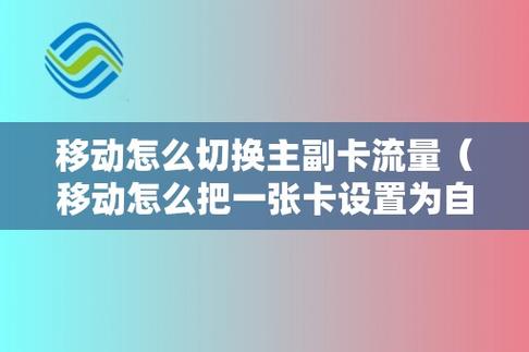 主卡控制副卡流量软件截图