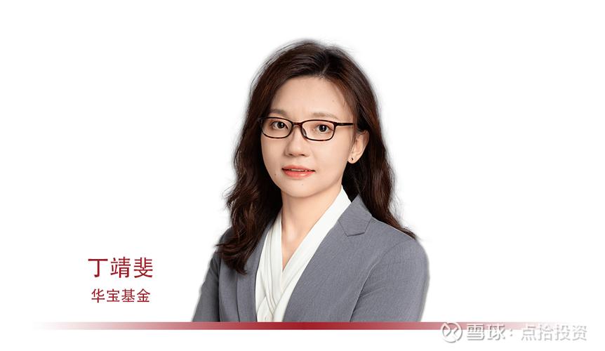 华宝资源优选混合基金净值图标