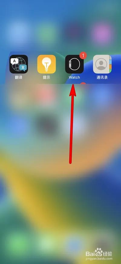 applewatch黑屏没反应截图