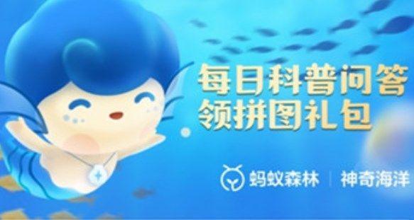 支付宝的海洋有什么用截图