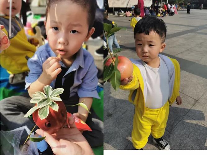香香的苹果活动反思详细截图