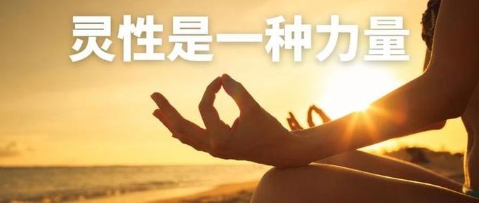 灵性高的人能斩赤龙吗截图