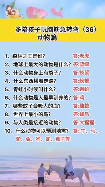 脑筋急转弯之选择题截图