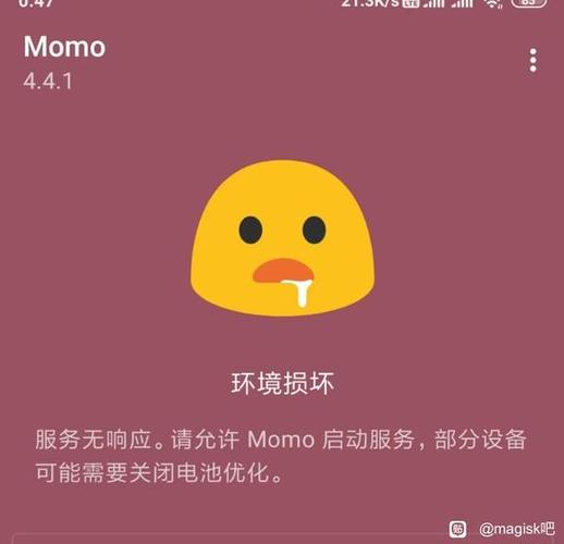 momo打不开了呢截图