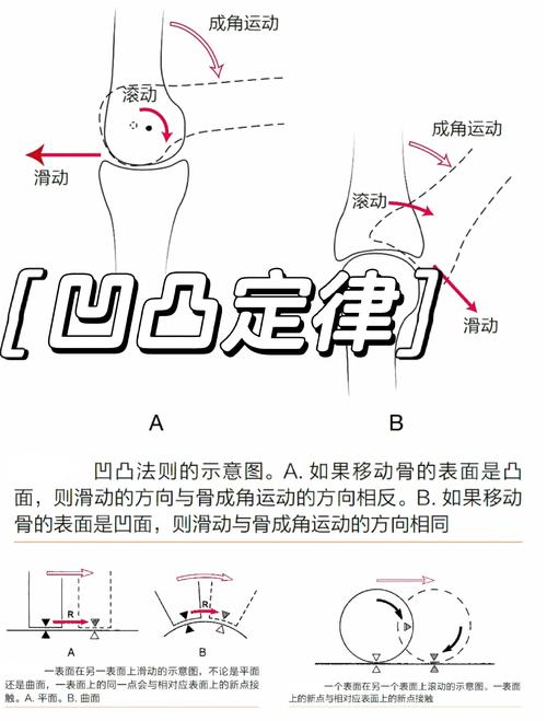 苹果手机怎么设置左右滑动图标