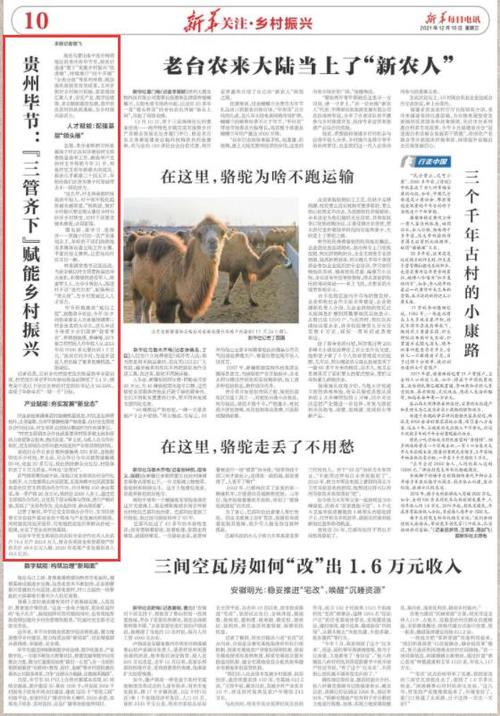 新华每日电讯数字报图标