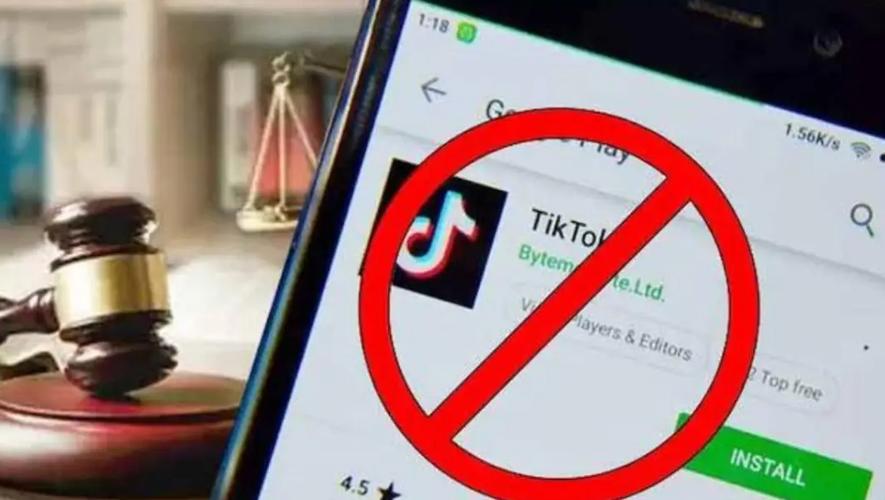 国内不能下载tiktok图标