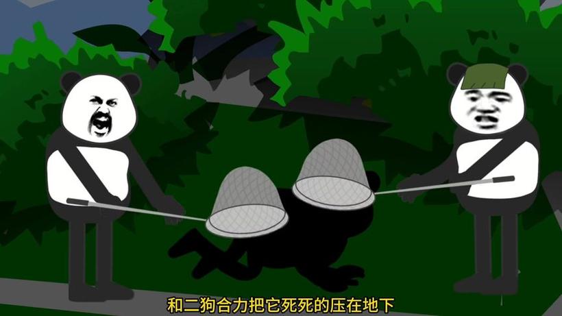 熊猫人全集免费观看图标