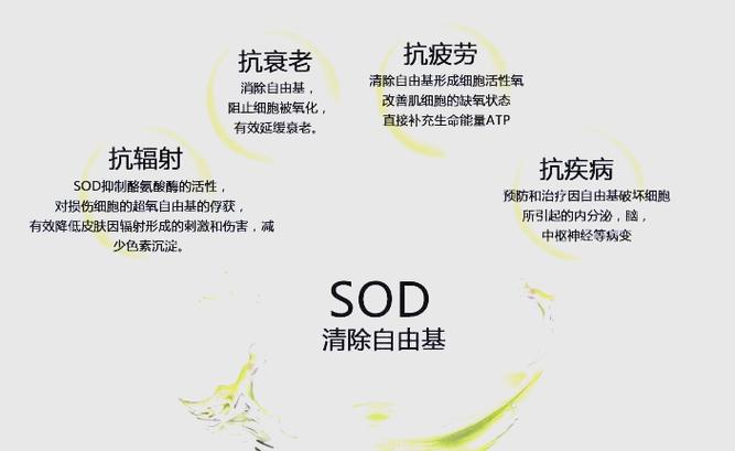 sod的作用